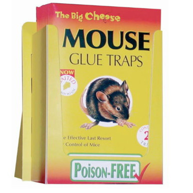 MOUSE GLUE TRAP STV182 2PK