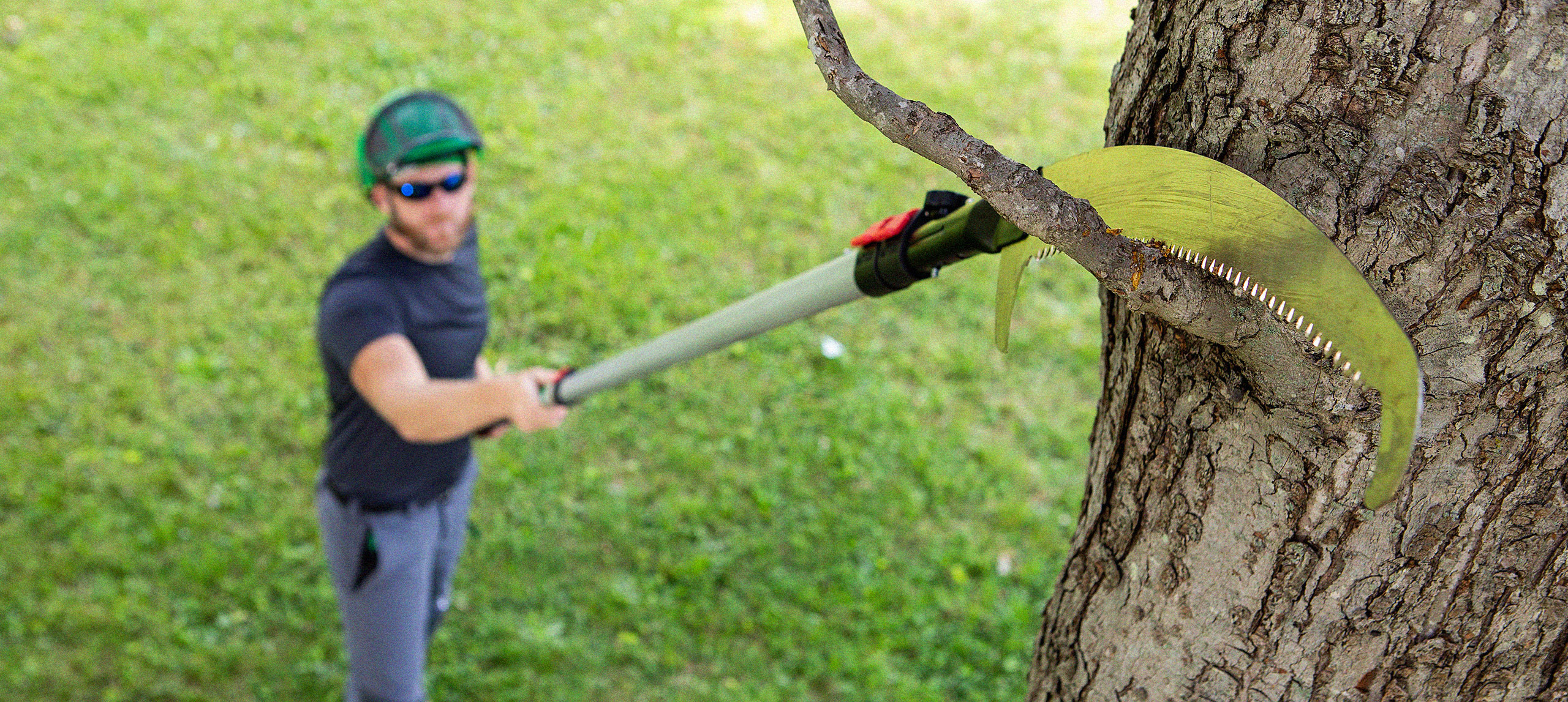 TFTC #43 5 tips for talking to customers about proper pruning - Sherrilltree