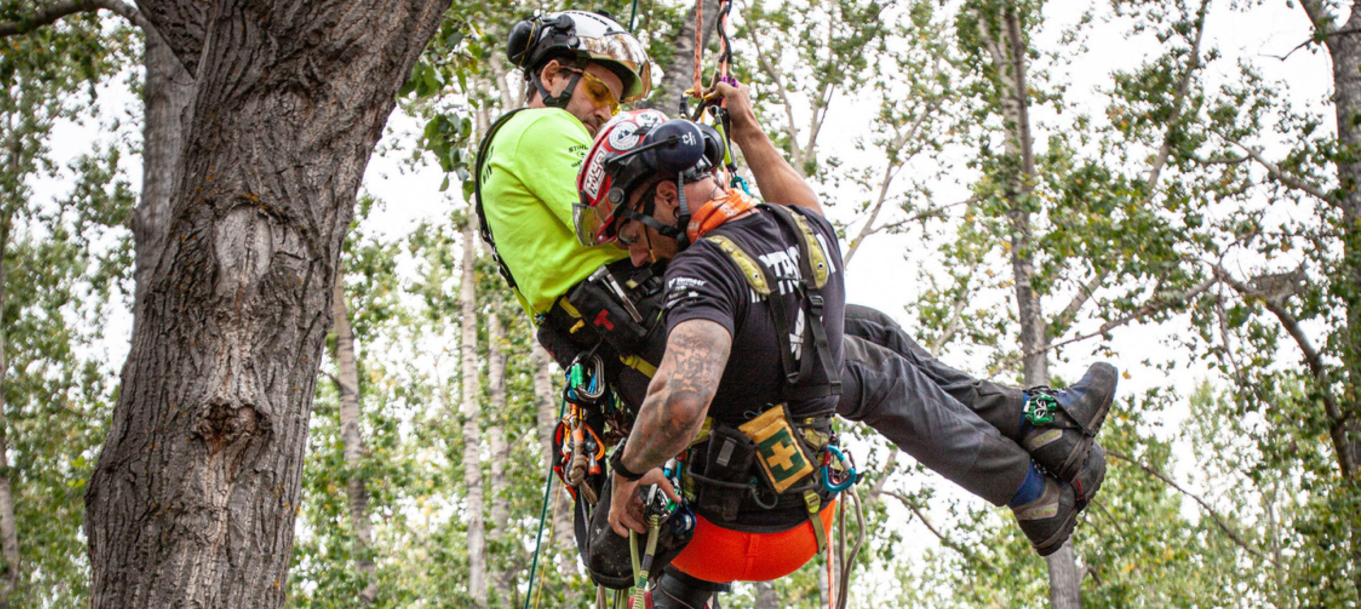 TFTC #48 Tree climber Rescue & emergency preparedness: Arborist Rescue ...