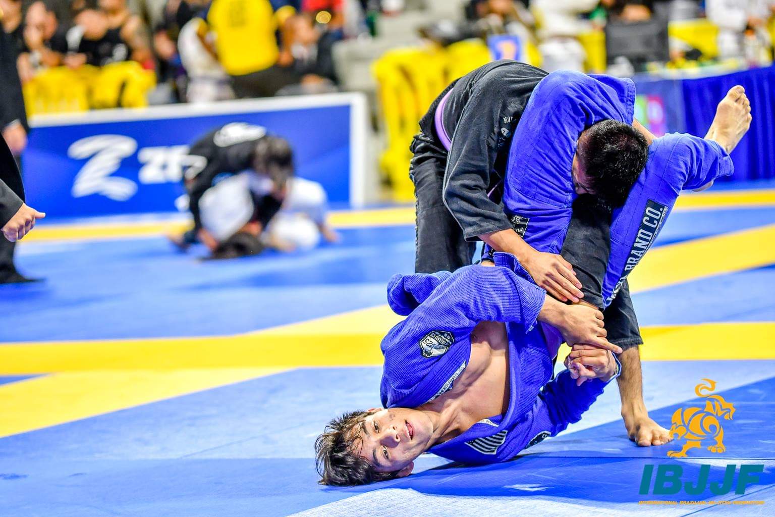 Josh Cisneros - Rising Star - Elite Team Visalia, California (Tom Knox ...