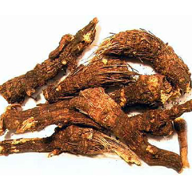 Osha Root Chunks 0.5 oz - GW Ceremonial Herbs