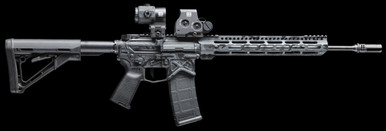 DSG AR-15