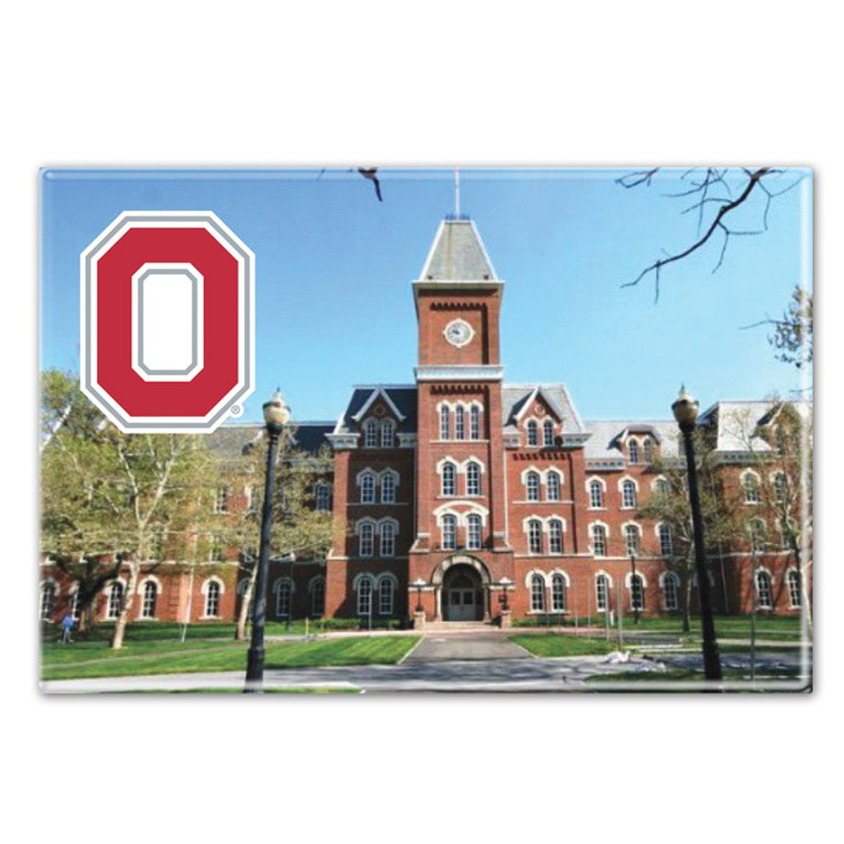Ohio State Buckeyes Magnets | Gifts & Accessories | College Traditions