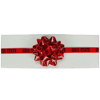 Ribbon and Bow Combo - College Traditions