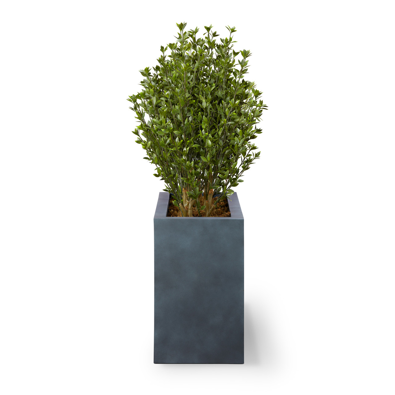 Planter Dividers | Custom Solutions | Planters Unlimited