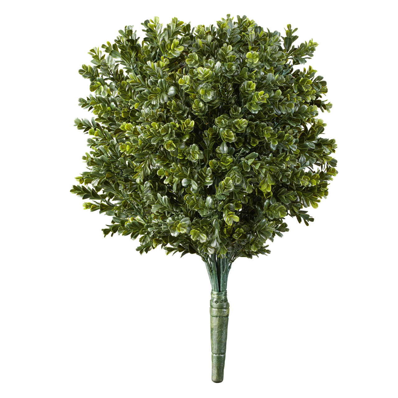 Hedges & Dividers - Planters Unlimited