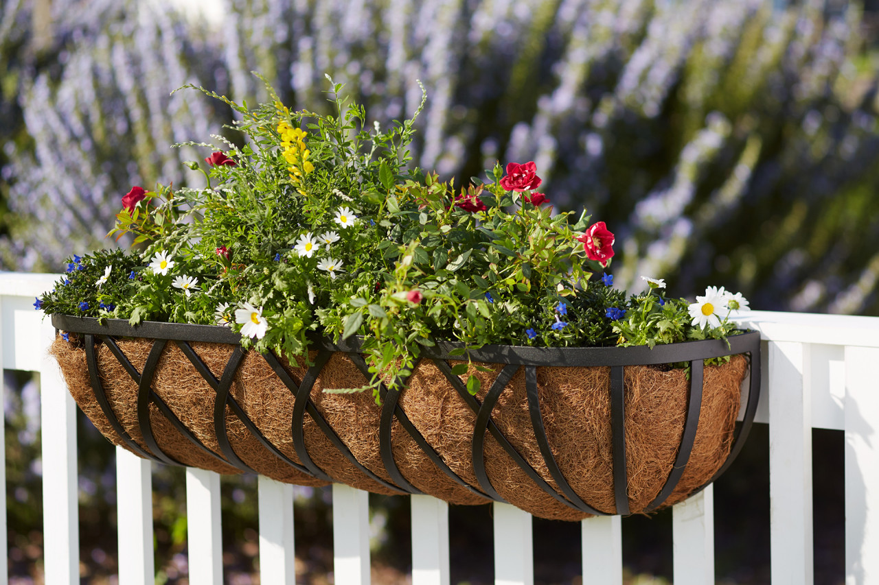 Fabulous Arch Hayrack Window Box with Standard Coco Liner