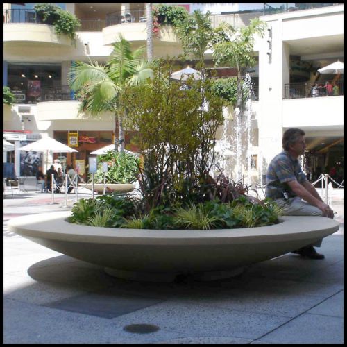 Top Design Ideas for Low Bowl Planters - Planters Unlimited
