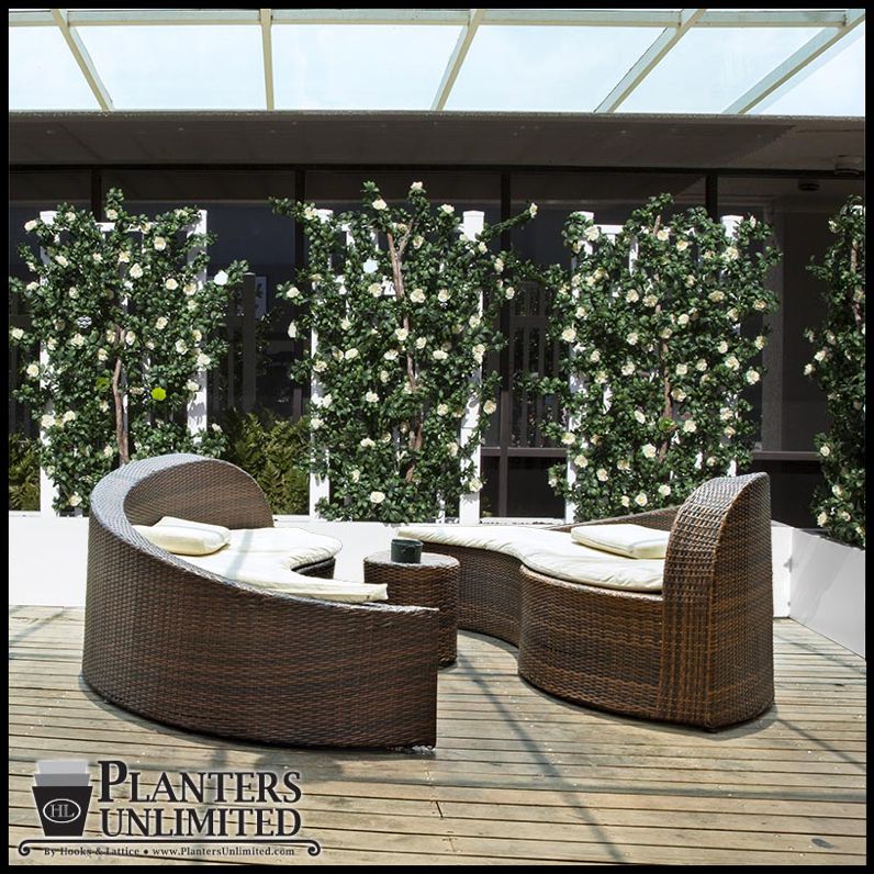 10 Elements to Consider When Choosing a Planter Size - Planters Unlimited