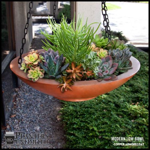 Top Design Ideas for Low Bowl Planters - Planters Unlimited