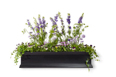Black Window Boxes - The Laguna Collection: Upscale Look