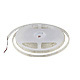 Strisce LED Professional