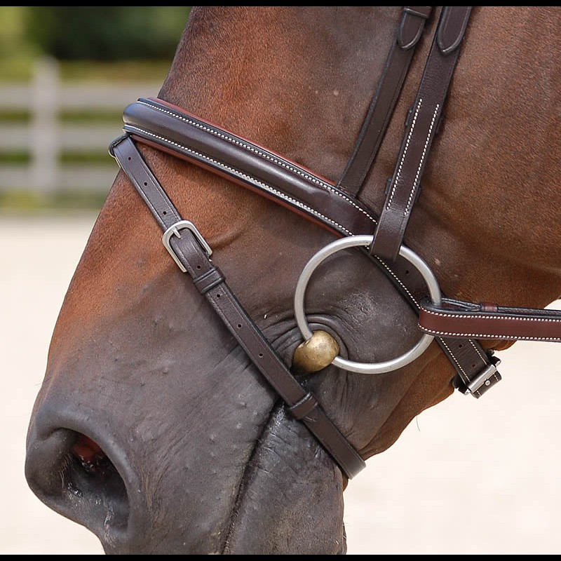 Dy'on Working Collection 'Classic' Flash Bridle - Snaffle-it Horse Supplies