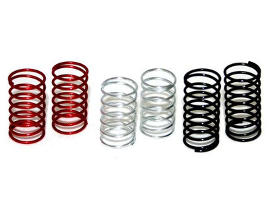 Hot Racing 1/16 GTR Factory-Spec Dual-Rate Springs