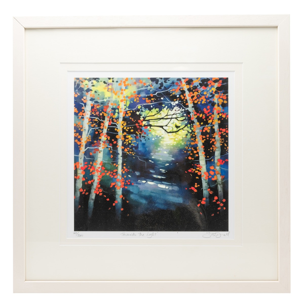 Sharon McDaid "Into The Light" | Kilkenny Design