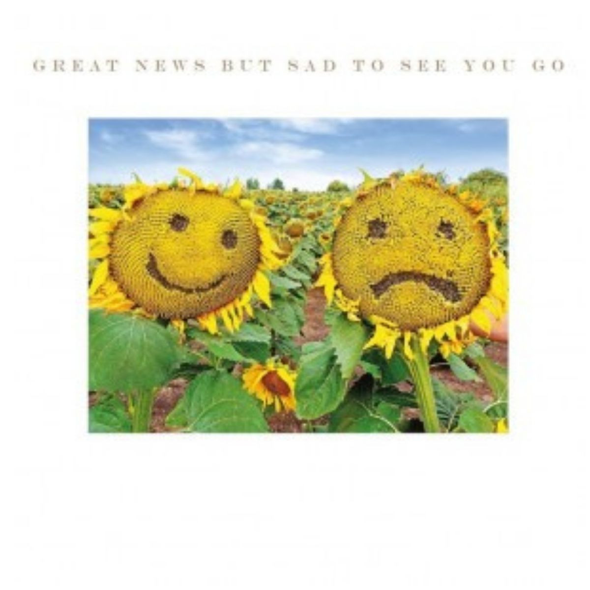Sunflowers Sad to See You Go Card | Kilkenny Design