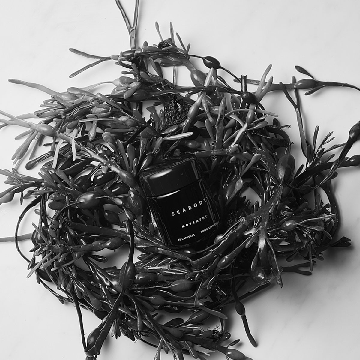 FREE GIFT Seabody Movement Capsules | Kilkenny Design