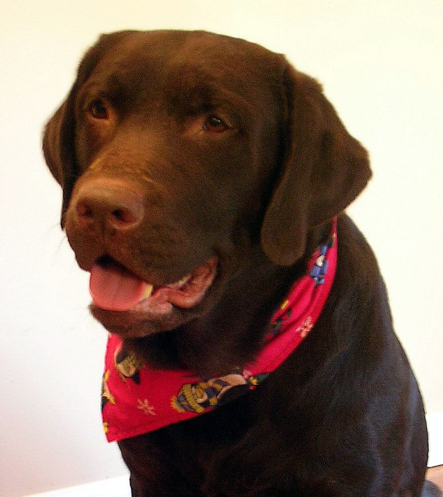 Blog - Page 10 - Glen-L Marine