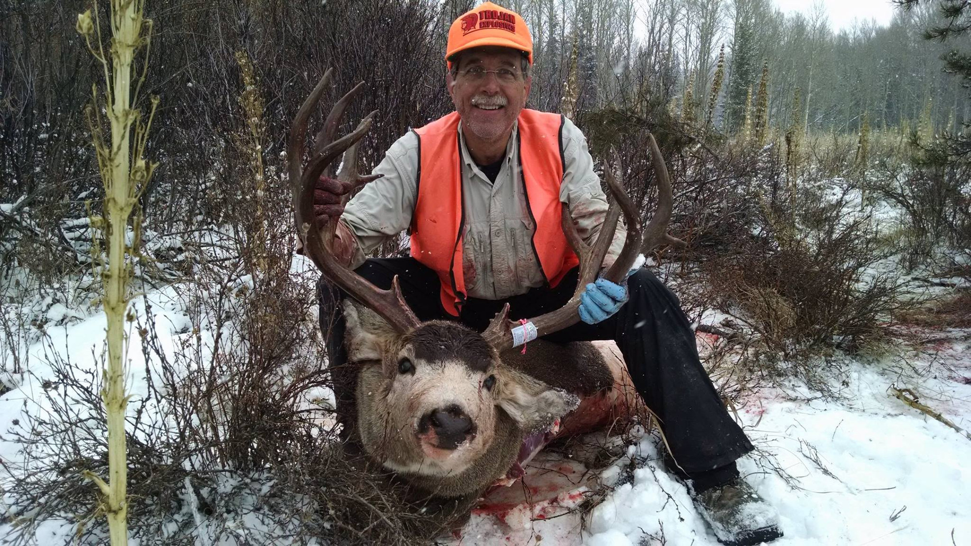 Guided elk and mule deer hotel or pack-in hunts
