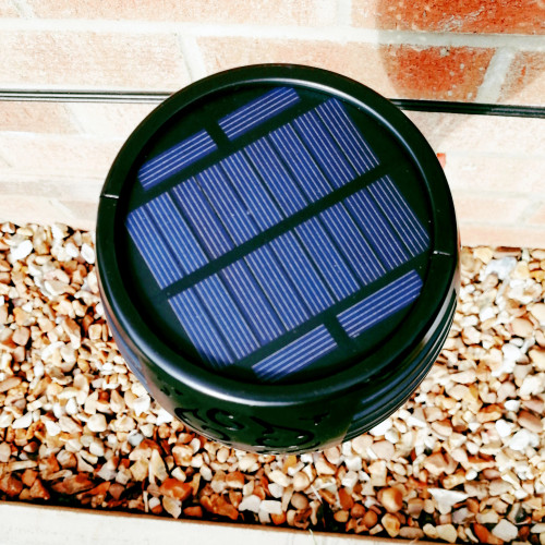 POWERplus Dragon - Solar Garden Light - It Must Be Green