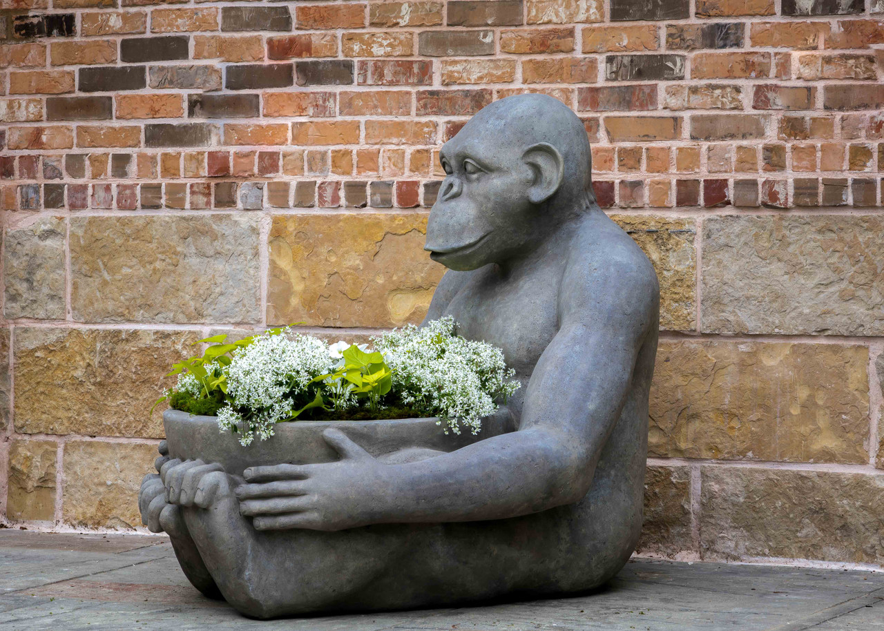 Buy 45" Kiwi The Ape Planter - Garden Planter Online - Wandering Lime