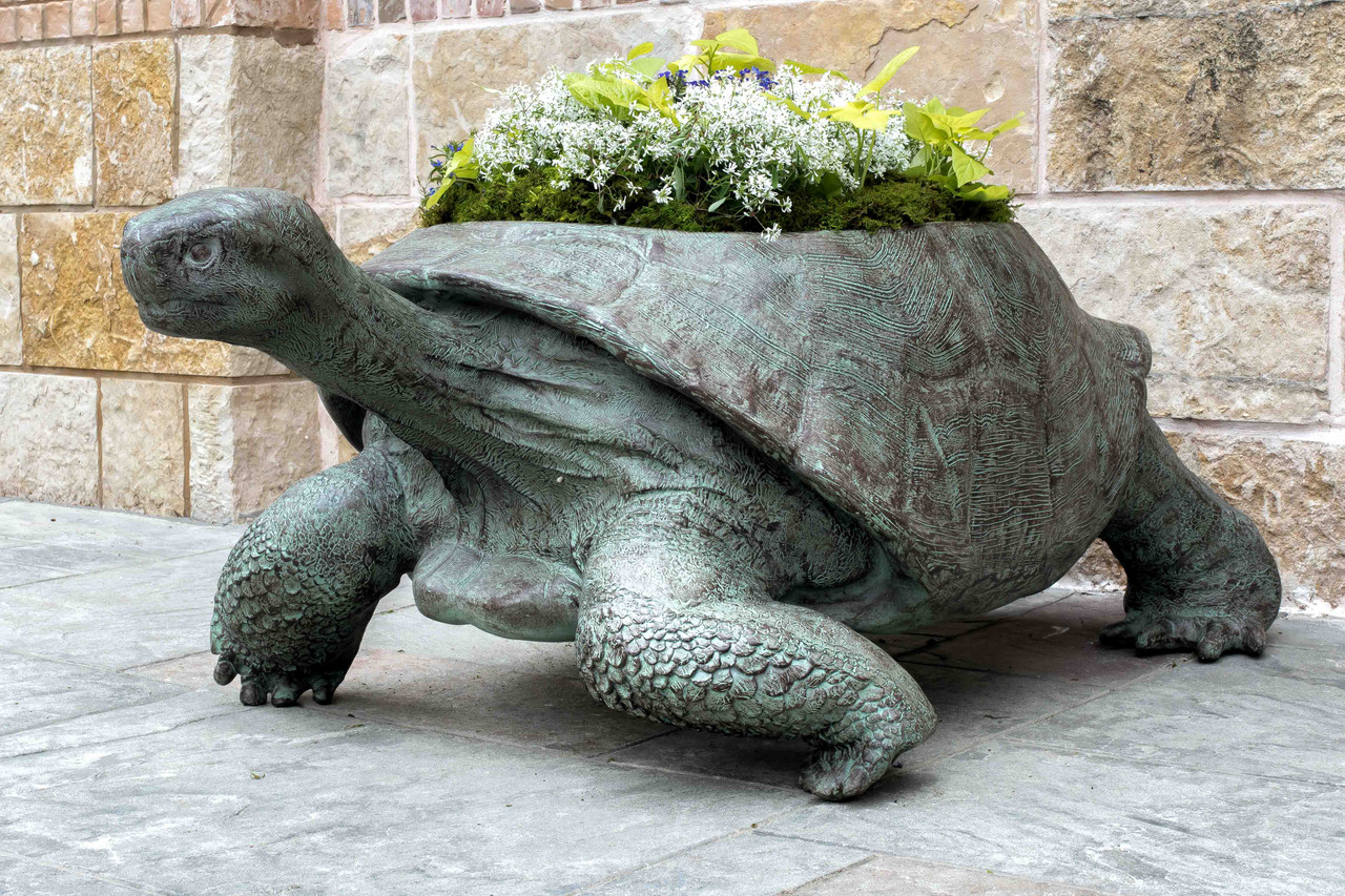 Buy 23.50" Seymour The Tortoise Garden Planter - Wandering Lime