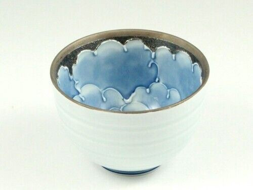 Arita yaki Porcelain Warp Sencha Yunomi Kyusu Tea Pot Cup Platinum ...