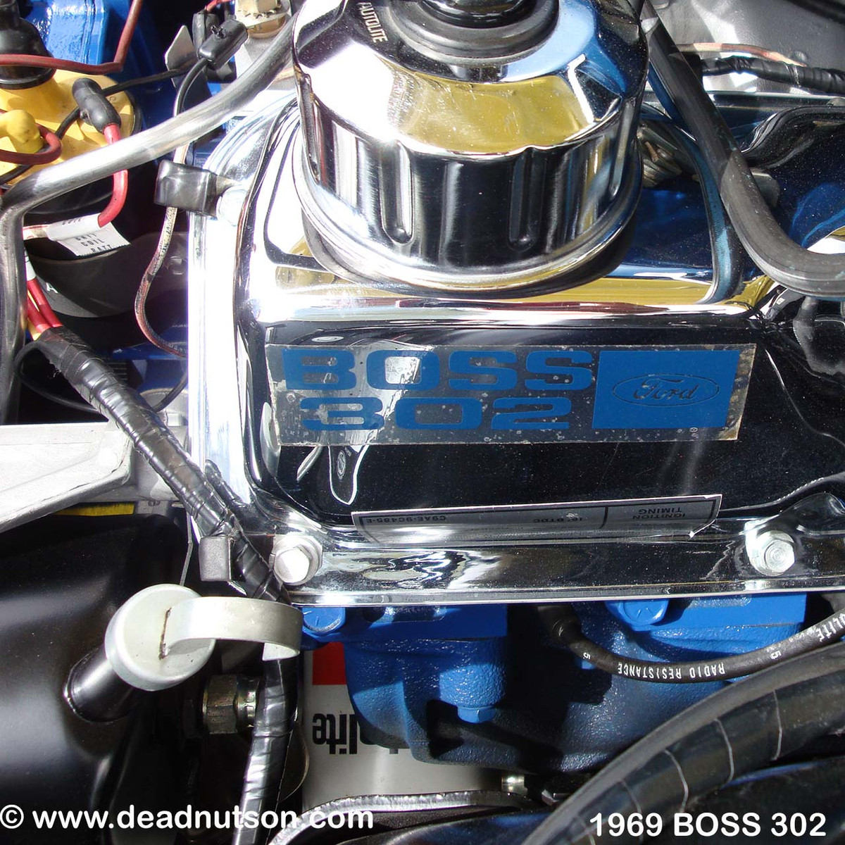 1969 BOSS 302 Engine Emissions Decal - Dead Nuts On