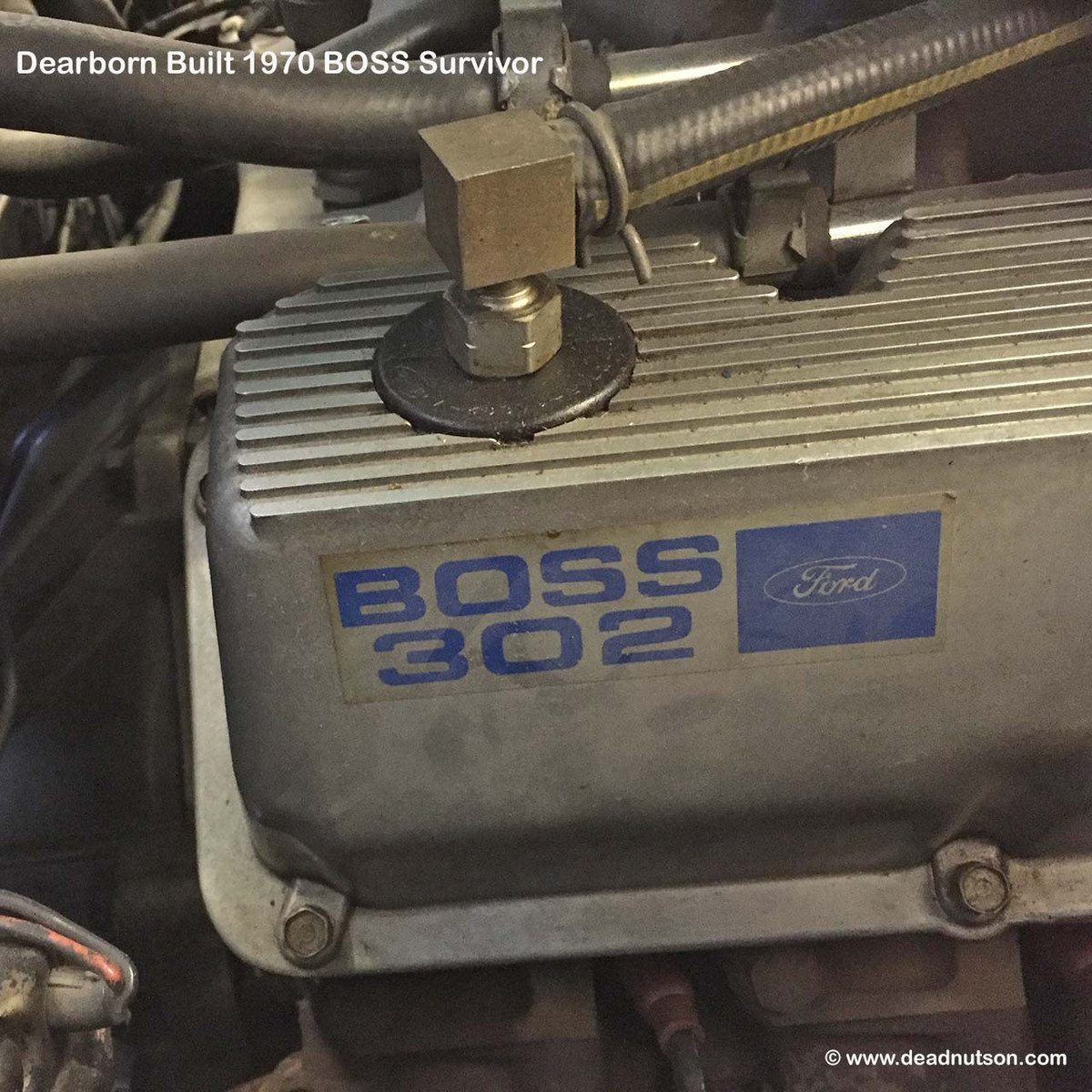 1969-70 BOSS 302 Valve Cover Decal Set - Dead Nuts On
