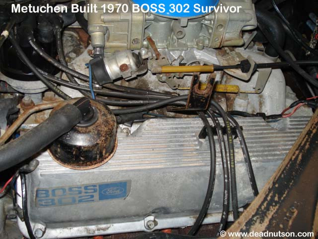 1969-70 BOSS 302 Valve Cover Decal Set - Dead Nuts On