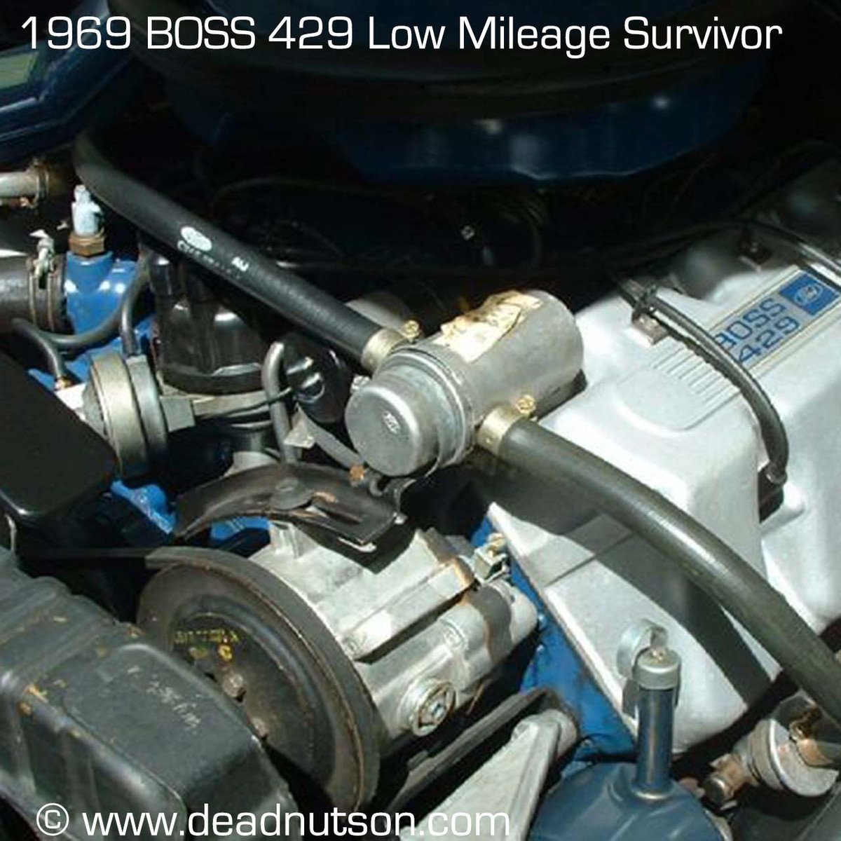 1969 BOSS 429 820T Engine ID Decal - Dead Nuts On