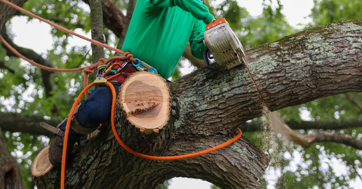 A Guide to Integrating a Pulley Into Your Rigging System - Monarch Rope