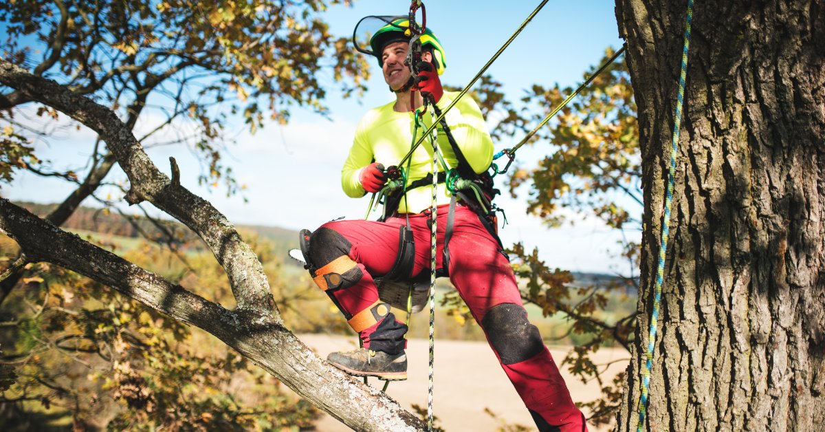Static vs. Dynamic Rope: 8 Key Differences for Arborists - Monarch Rope