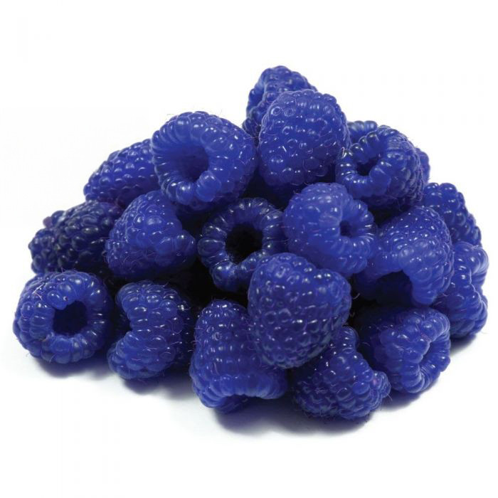 Blue Raspberry Flavor-FW - Bull City Flavors