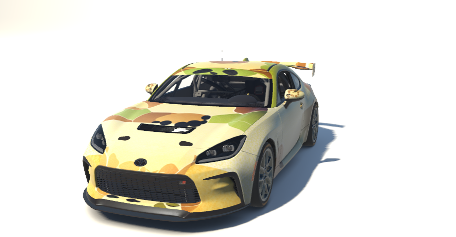 Camo Carnival - IRacing Paints