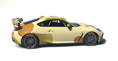 Camo Carnival - IRacing Paints