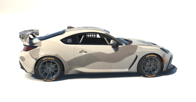 Camouflage Warrior - IRacing Paints