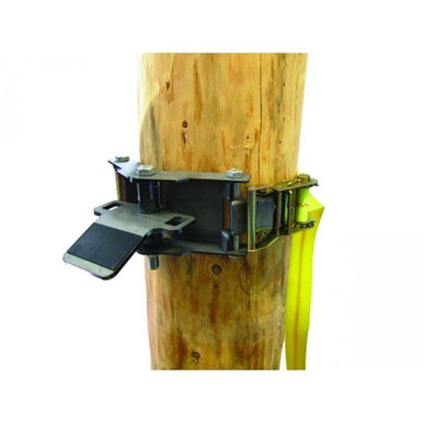 WINCH ANCHOR SYSTEM FOR TREES AND POLES