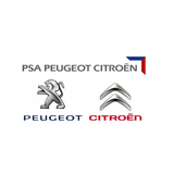 European car parts - We specialized in PSA OEM/Genuine replacement ...