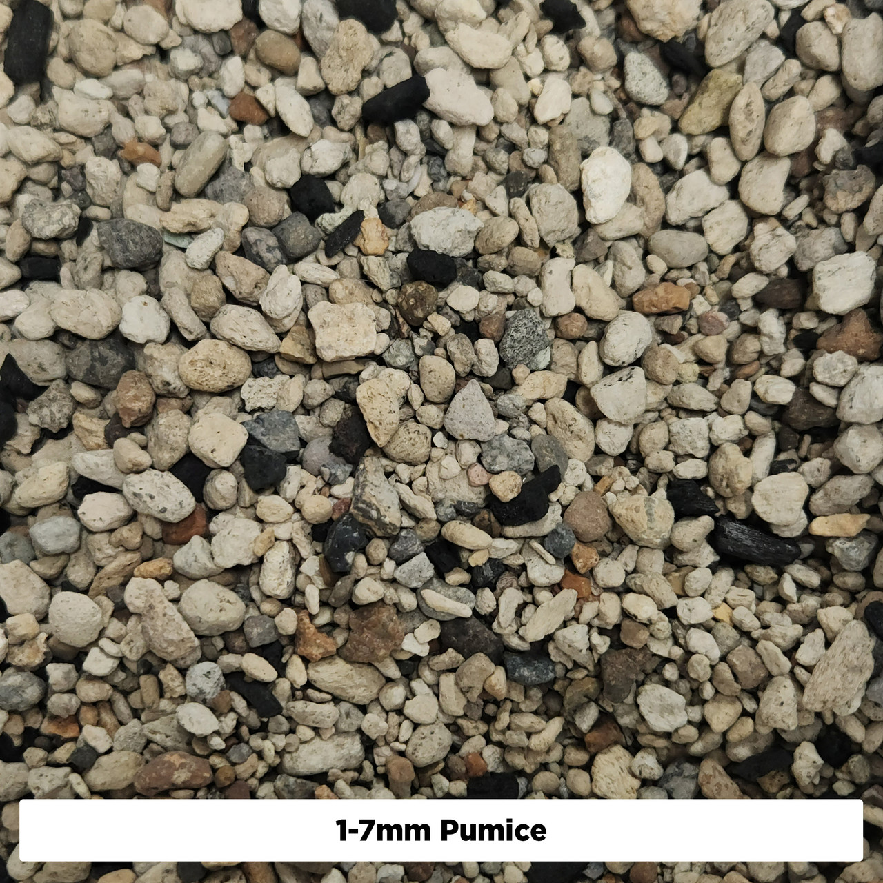 Horticultural Pumice | Fernland