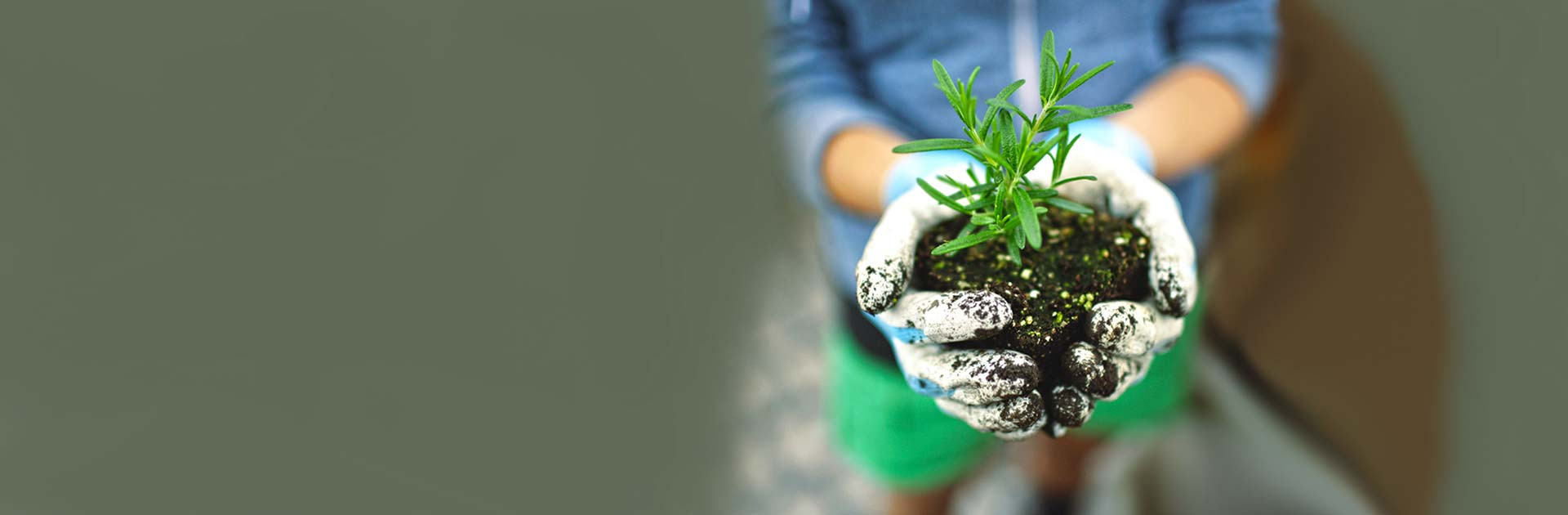 Horticultural & Nursery Supplies | Fernland