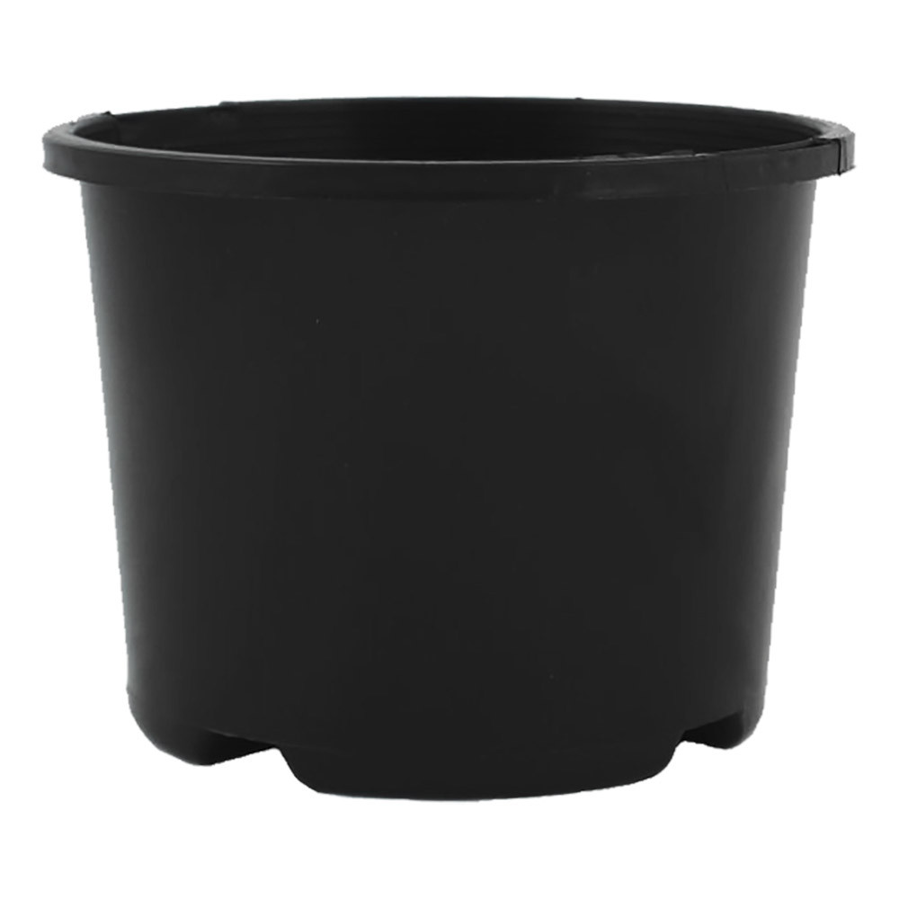 Squat Pots - Australia's Leading Supplier | Fernland