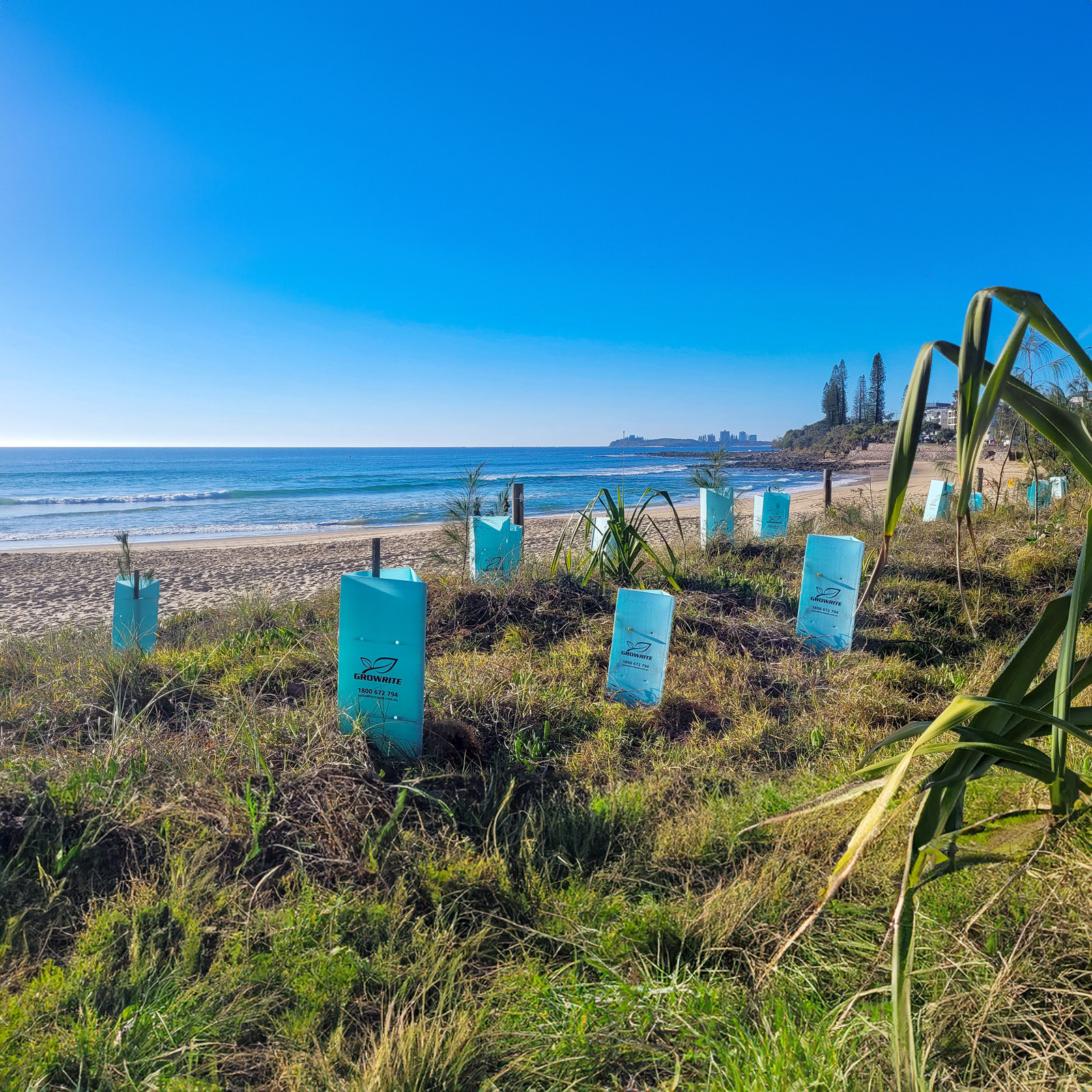 Tree Protection Sleeves & Guards - Australia's Leading Supplier | Fernland