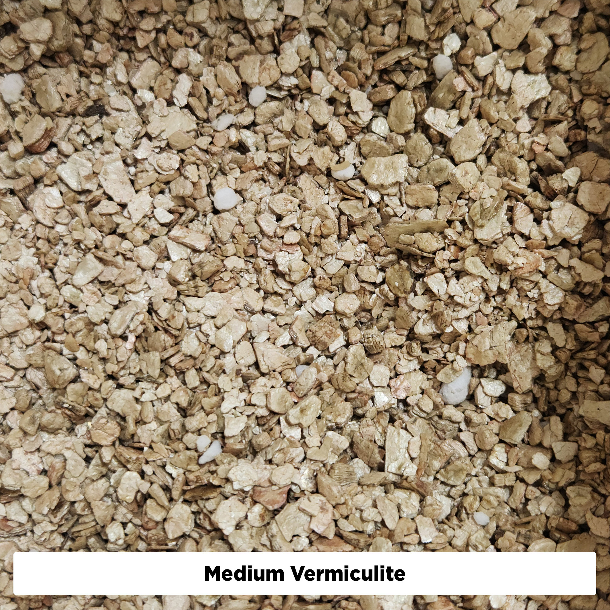 Vermiculite | Fernland