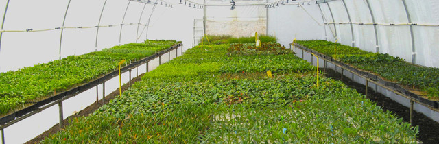 Horticultural & Nursery Supplies | Fernland
