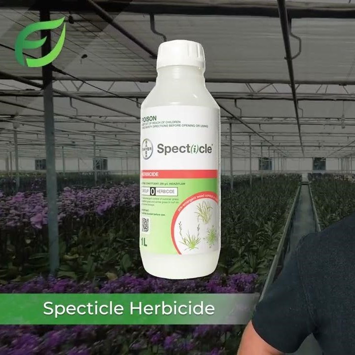 Nursery Weed Control with Specticle Herbicide - Fernland