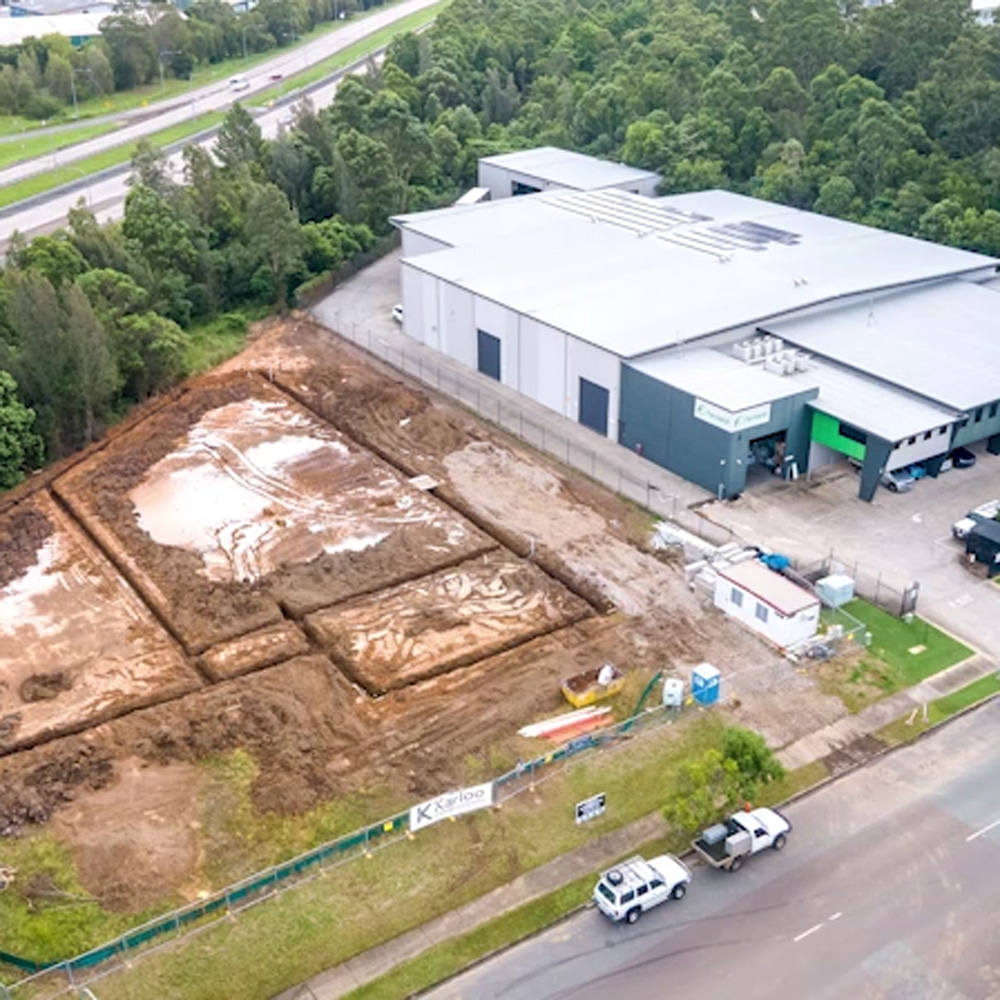 Fernland Is Expanding! - Fernland