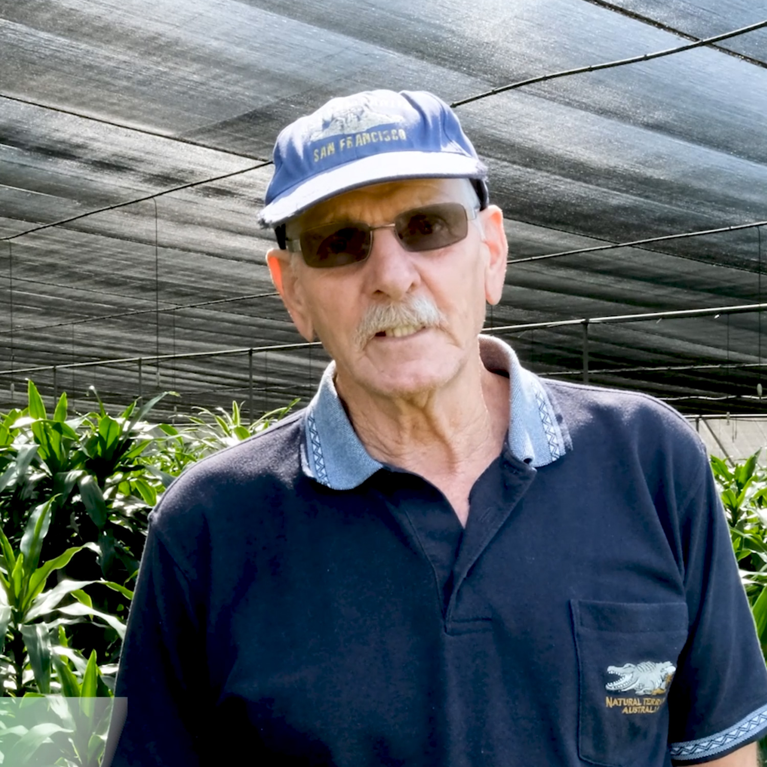 Customer Feedback: Jack Drane - Fernland