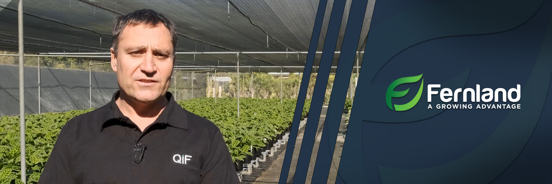 Customer Feedback: Ted Watts - Fernland