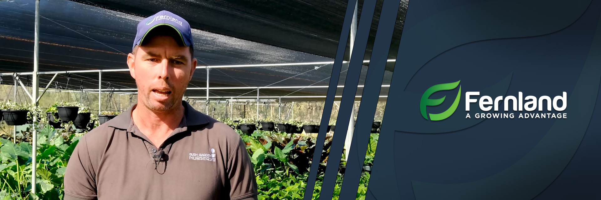 Customer Feedback: Tom Hennessey - Fernland